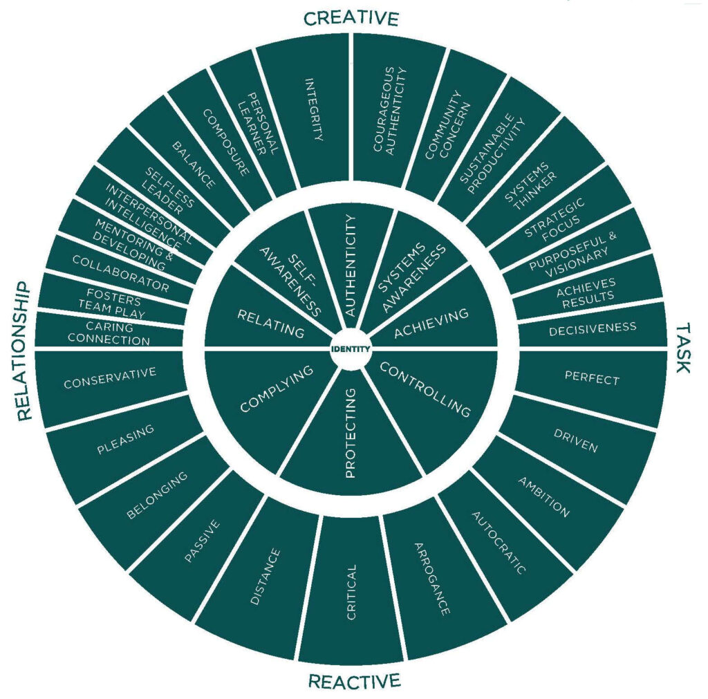 360 Leadership Assessment Tool | Leadership Circle Profile